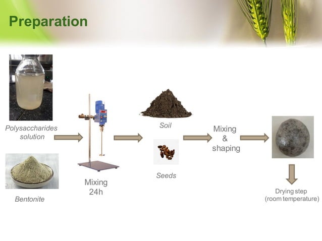 Seed coating technologies agriculture.pdf | Gardening | Home & Garden