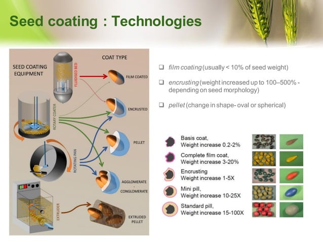 Seed coating technologies agriculture.pdf | Gardening | Home & Garden