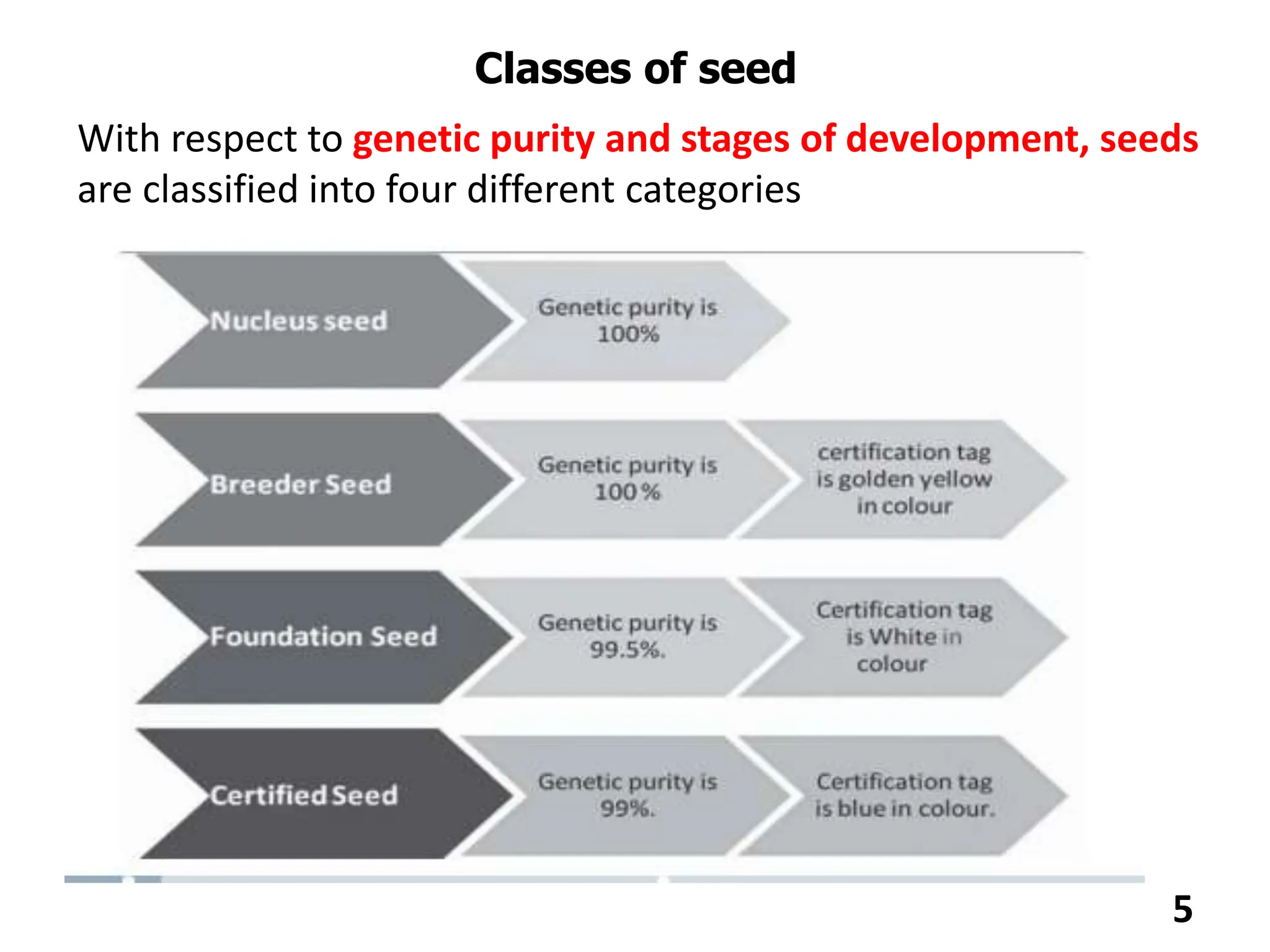 Lecture 2 seed sowing and planting geometry - Copy.pptx