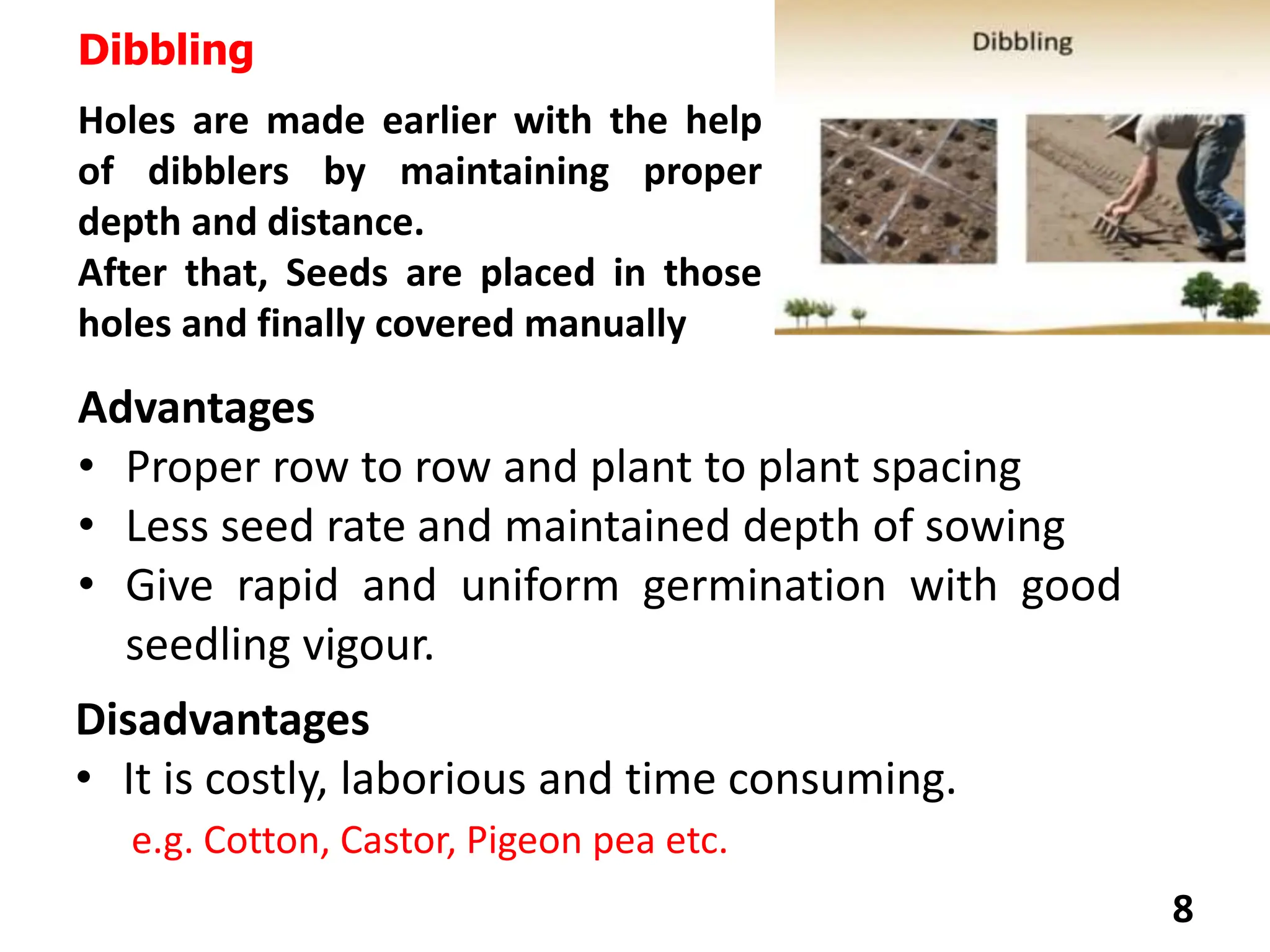 Lecture 2 seed sowing and planting geometry - Copy.pptx