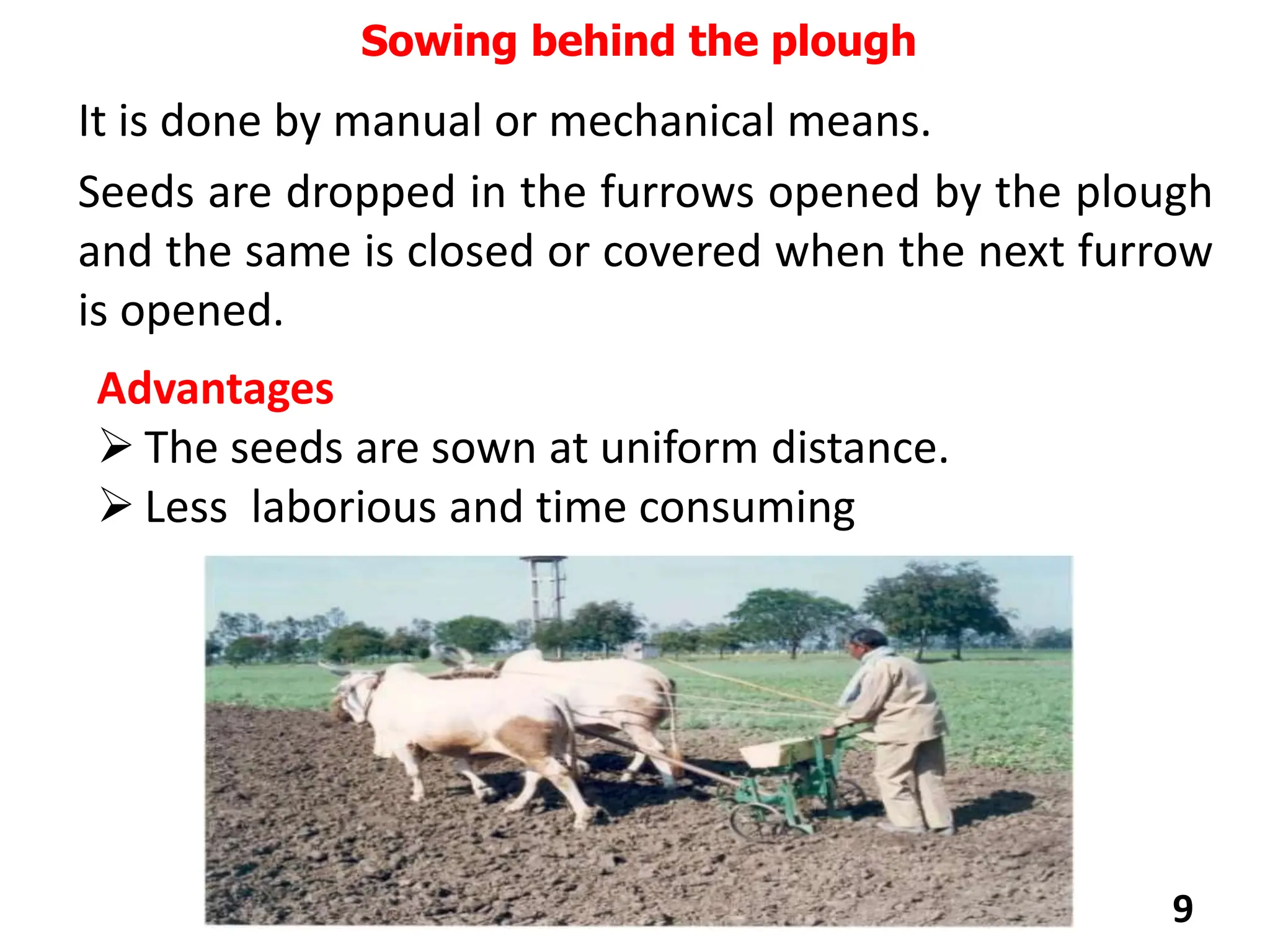 Lecture 2 seed sowing and planting geometry - Copy.pptx