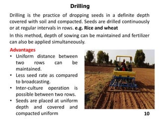 Lecture 2 seed sowing and planting geometry - Copy.pptx