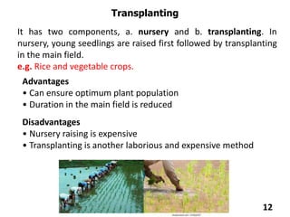 Lecture 2 seed sowing and planting geometry - Copy.pptx