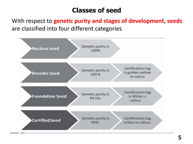 Lecture 2 seed sowing and planting geometry - Copy.pptx