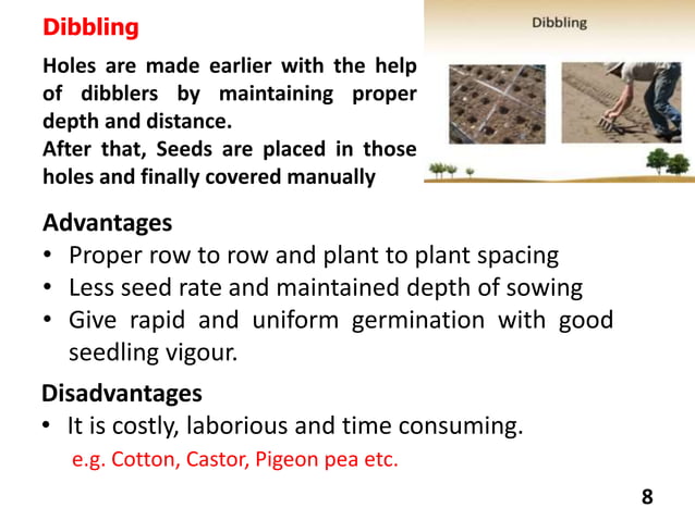 Lecture 2 seed sowing and planting geometry - Copy.pptx