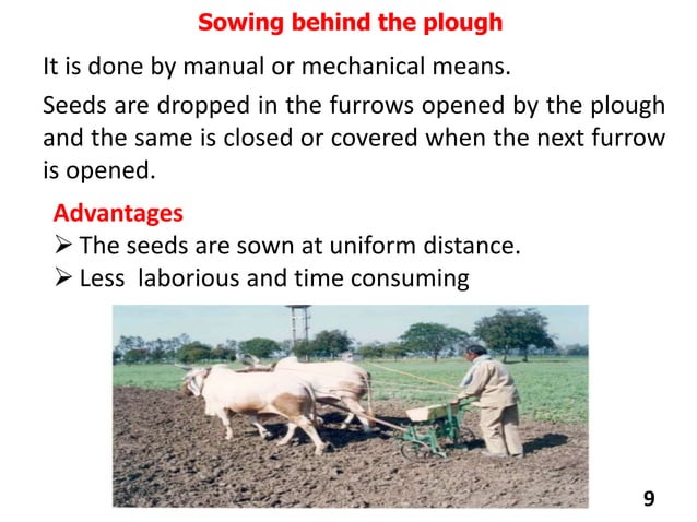 Lecture 2 seed sowing and planting geometry - Copy.pptx