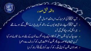 Lecture 2 Seerat Circle Jinnah SISB6-210.pdf