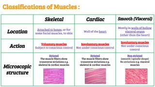 Lecture (2) SKELETAL MUSCLES.pdf