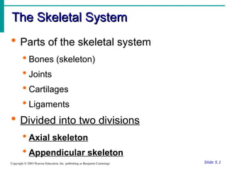 Lecture 2 (Skeletal System ) 3.ppt ١٢٣٤٦ | PPT