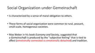 Social Organization in Simple and Complex Societies.pptx