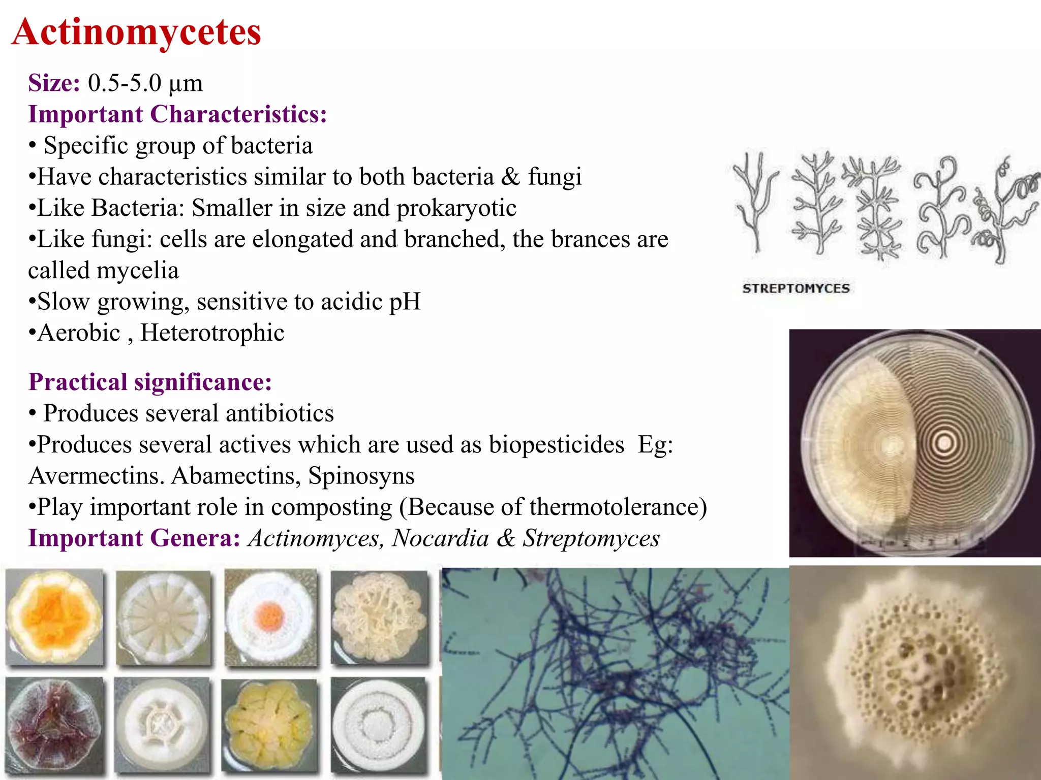 Lecture 2 soil Envt and mIcrobes 1.pptx | Free Download