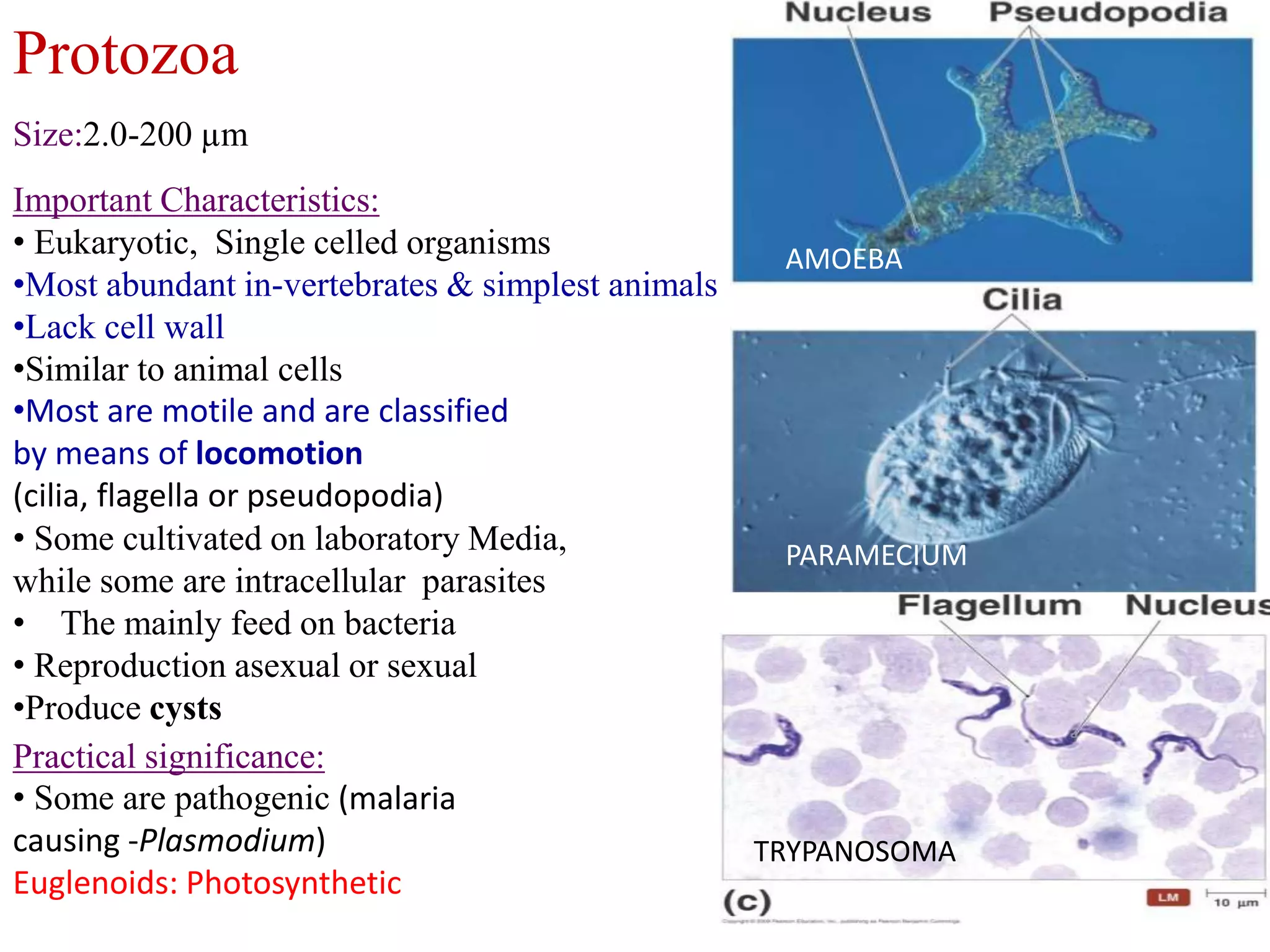 Lecture 2 soil Envt and mIcrobes 1.pptx