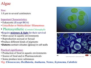 Lecture 2 soil Envt and mIcrobes 1.pptx