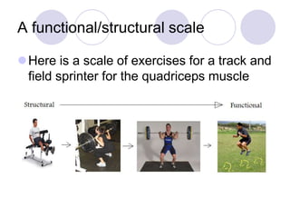Strength and the muscular system | PPTX