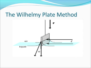 surface tension | PPT