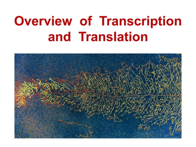 Transcription and Translation | PPTX