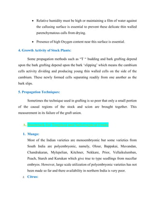USE OF ROOT STOCK IN PLANT PROPAGATION | PDF