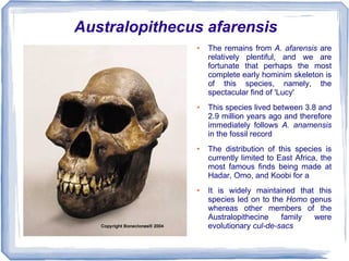 Lecture3 | PDF