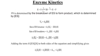 Lecture 3 - 15_02_21.pdf