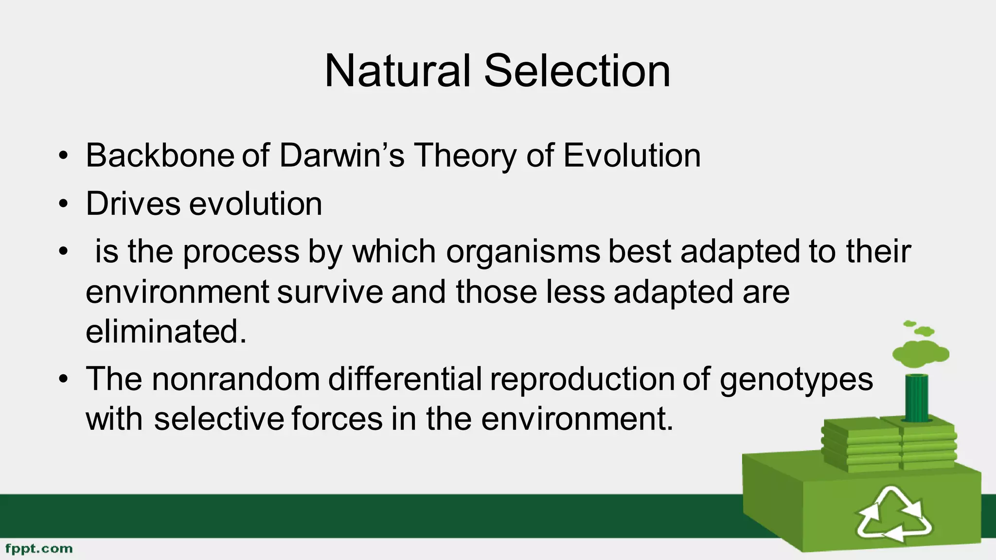 Evolution and Behavior of Species | PDF