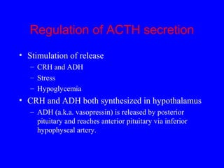 endocrine hormones | PPT