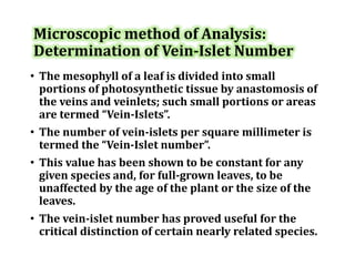 Lecture 3 | PPTX