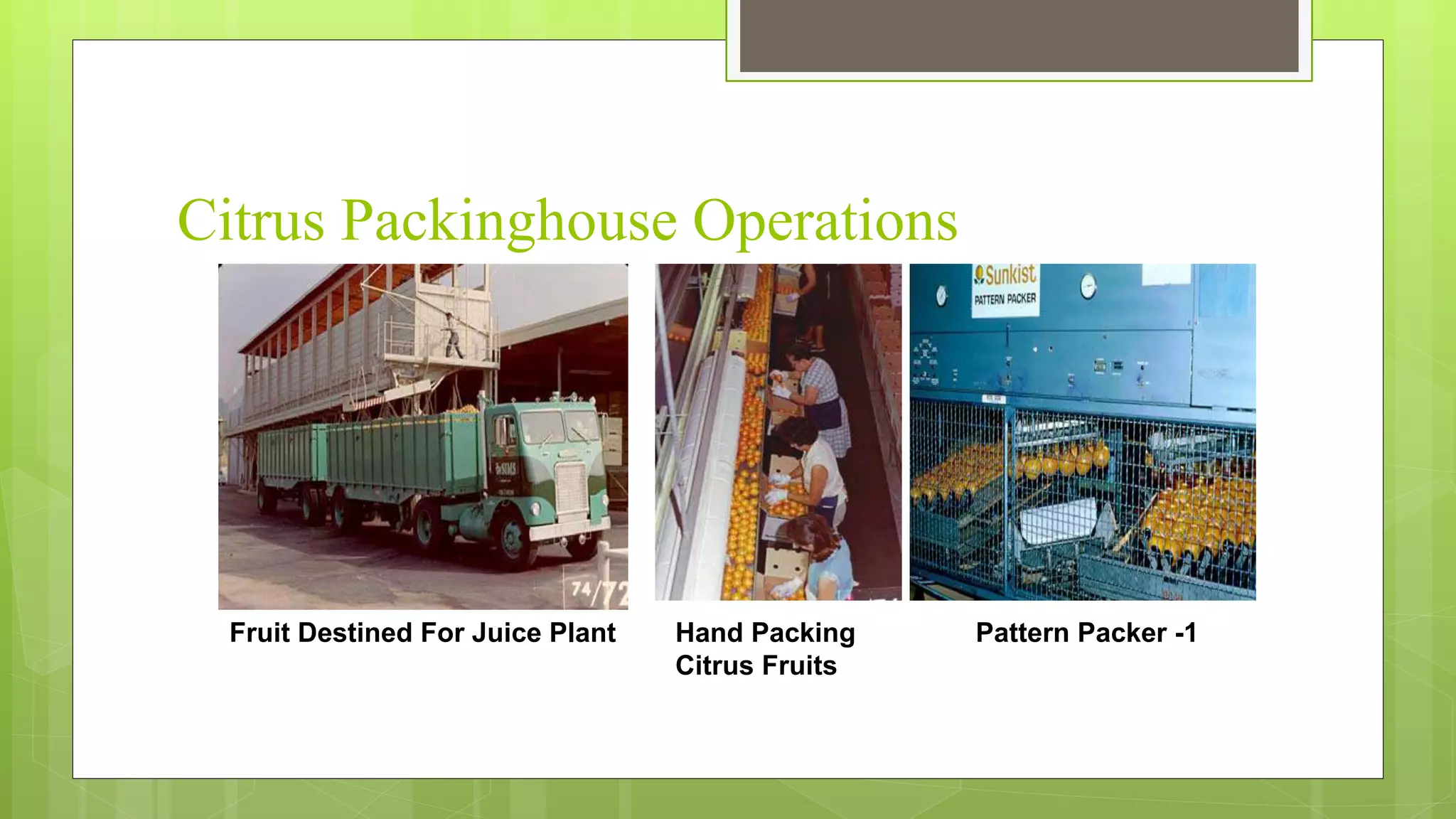 Production Technology of Citrus | PPTX