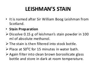 Lecture 3.stains | PPTX