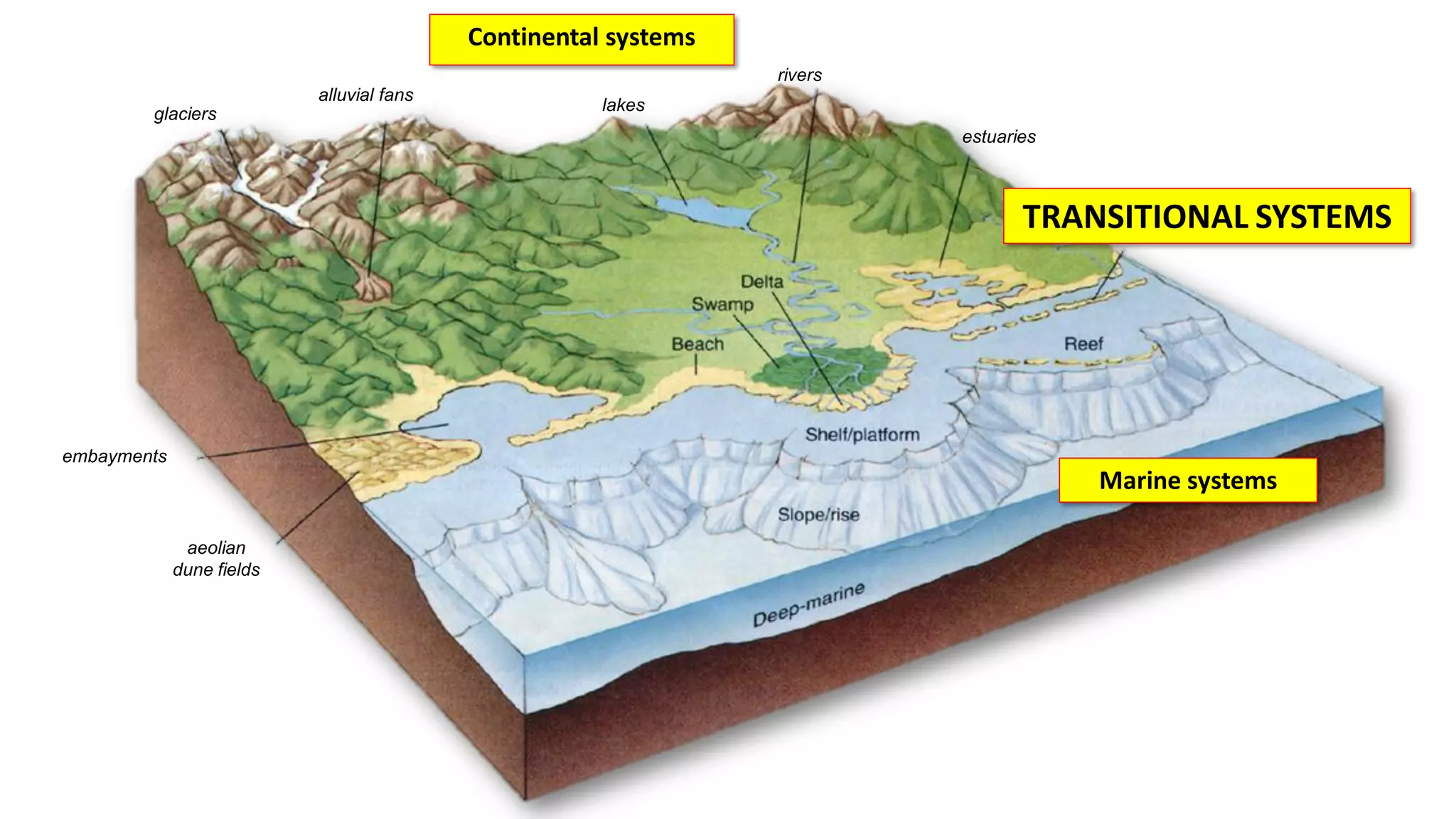Sedimentology Lecture 3. transitional depositional systems | PDF