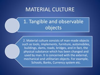 Lecture 3. culture | PPT