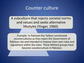 Lecture 3. culture | PPT