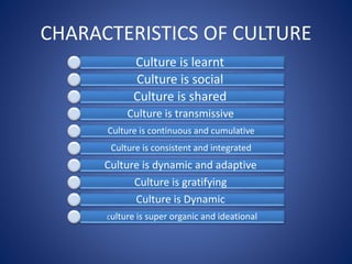 Lecture 3. culture | PPT