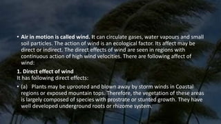 Wind | PPTX