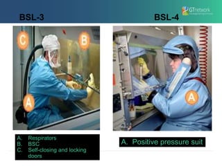 Lecture 3: biosafety levels | PPTX