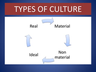 Lecture 3. Culture.pptx