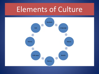 Lecture 3. Culture.pptx