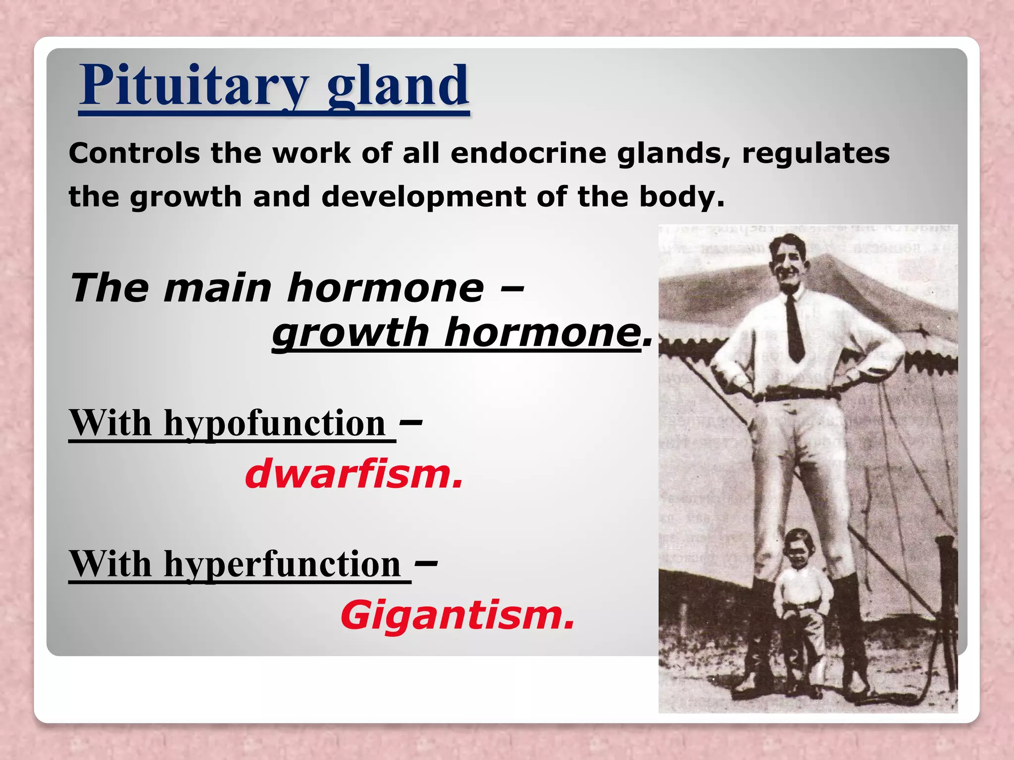 Lecture 3. Physiology of the endocrine system.pdf