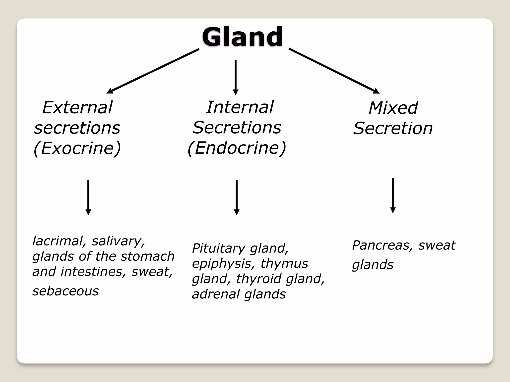 Lecture 3. Physiology of the endocrine system.pdf