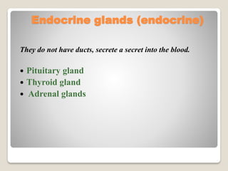 Lecture 3. Physiology of the endocrine system.pdf