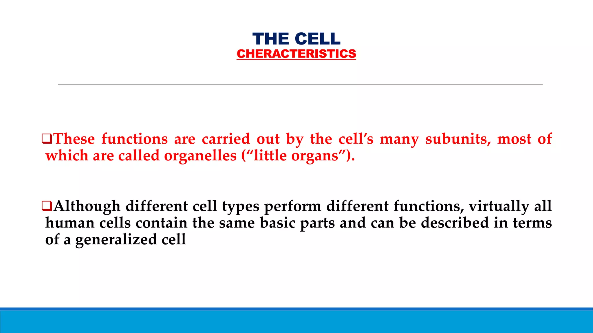Lecture 3. The Cell.pdf