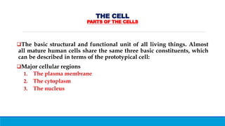 Lecture 3. The Cell.pdf