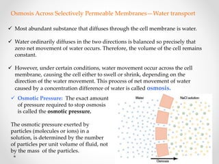 Lecture 3.pptx