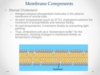 Lecture 3.pptx