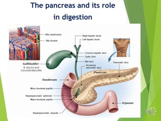 Lecture 3. Digestion in the intestines.pdf