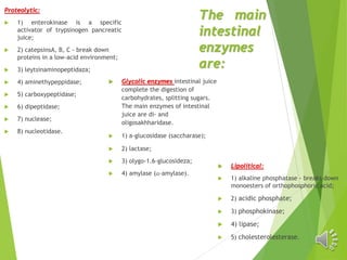 Lecture 3. Digestion in the intestines.pdf