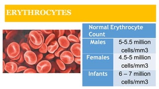 ERYTHROPOIESIS.pptx | PPTX