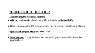 ERYTHROPOIESIS.pptx | PPTX