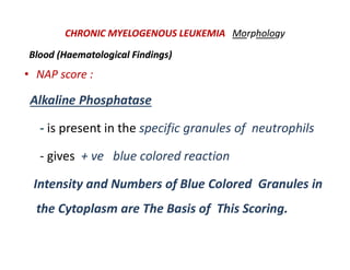 Lecture 3.pdf