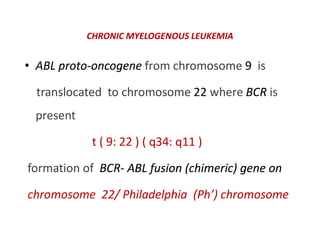 Lecture 3.pdf