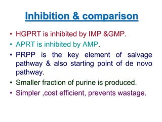 Lecture 3. Metabolism of purines & pyrimidines 20 Aug 21.ppt